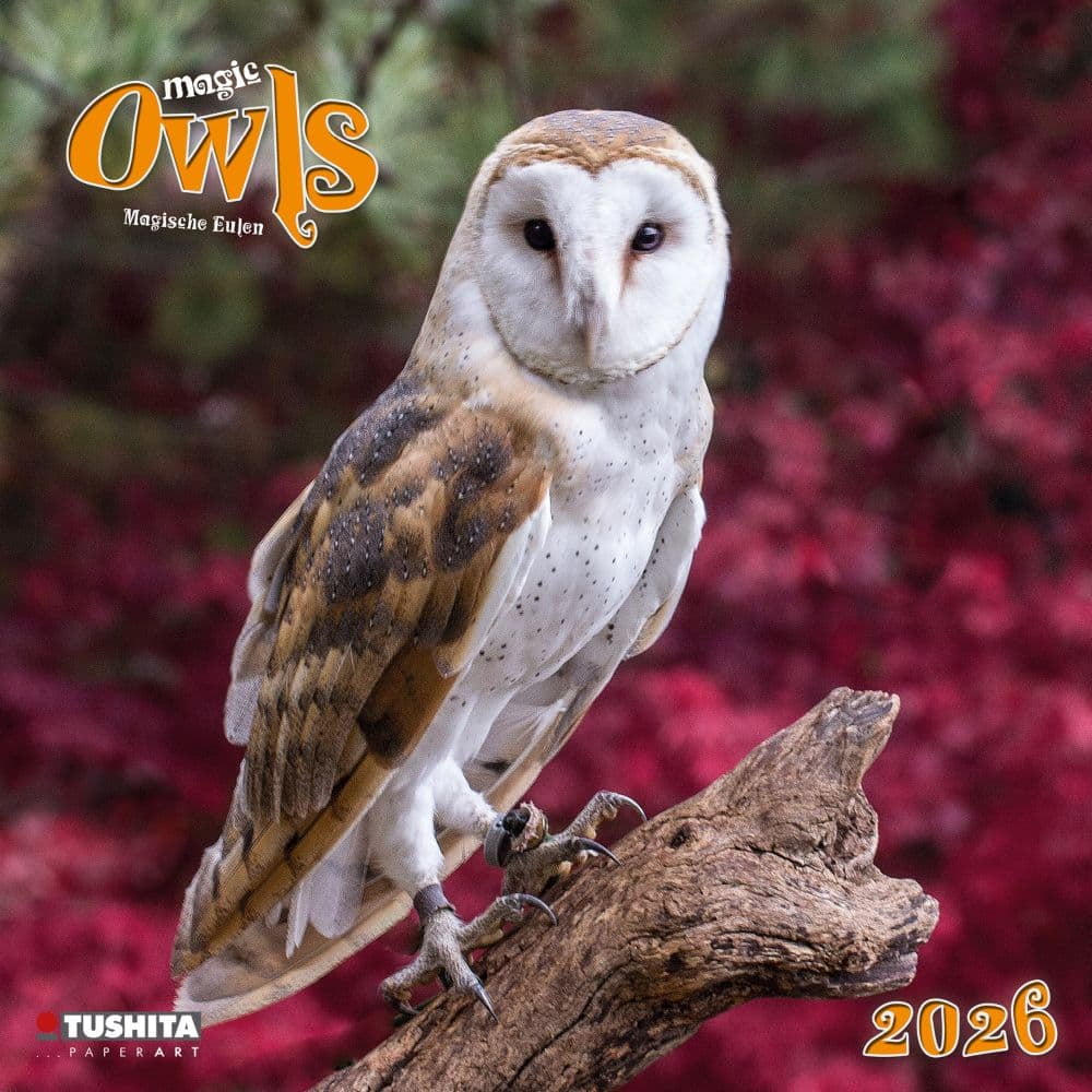 Tushita Publishing, Magic Owls 2026 Wall Calendar, 11.81'' X 11.81 ...
