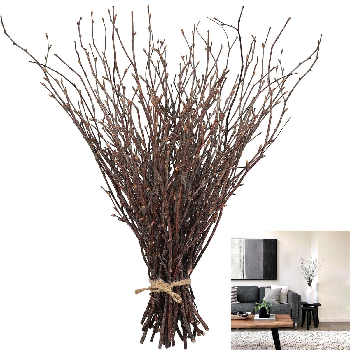 Tutuviw 16"-20" Real Dried Birch Twigs, A bundle of Natural Dry Birch ...