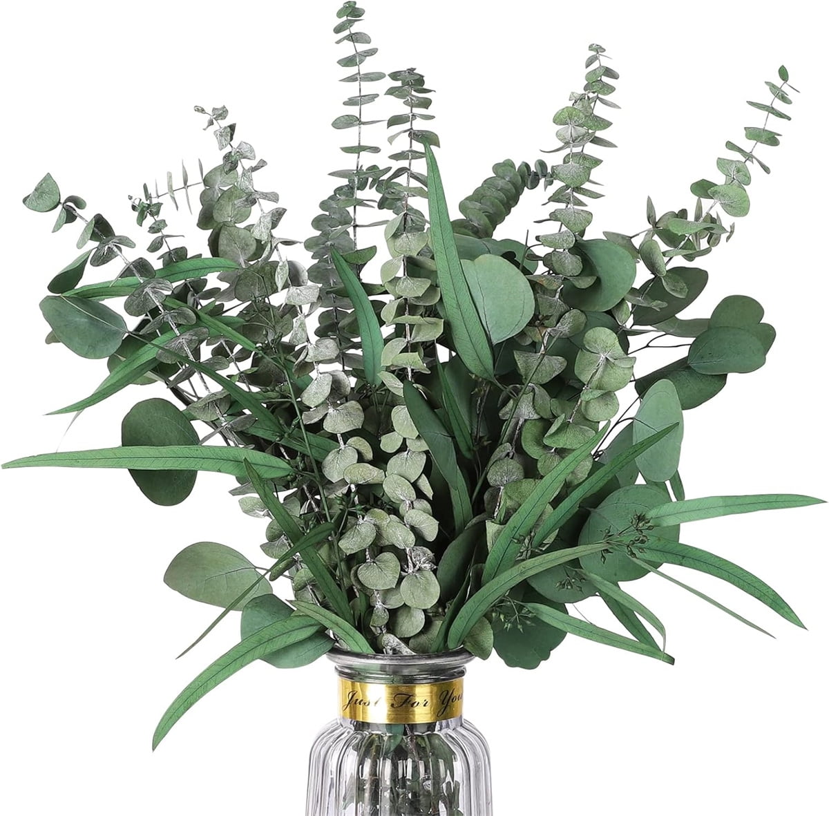 Tutuviw 16Pcs Mixed Real Dried Eucalyptus Leaves Stems,Preserved ...