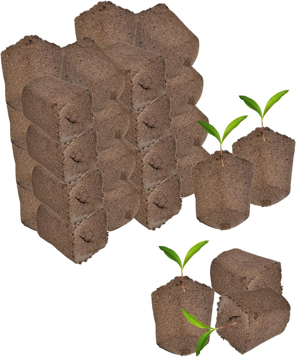 Tutuviw 30 Pack Grow Sponges Replacement Root Growth Sponges Seed Pods ...