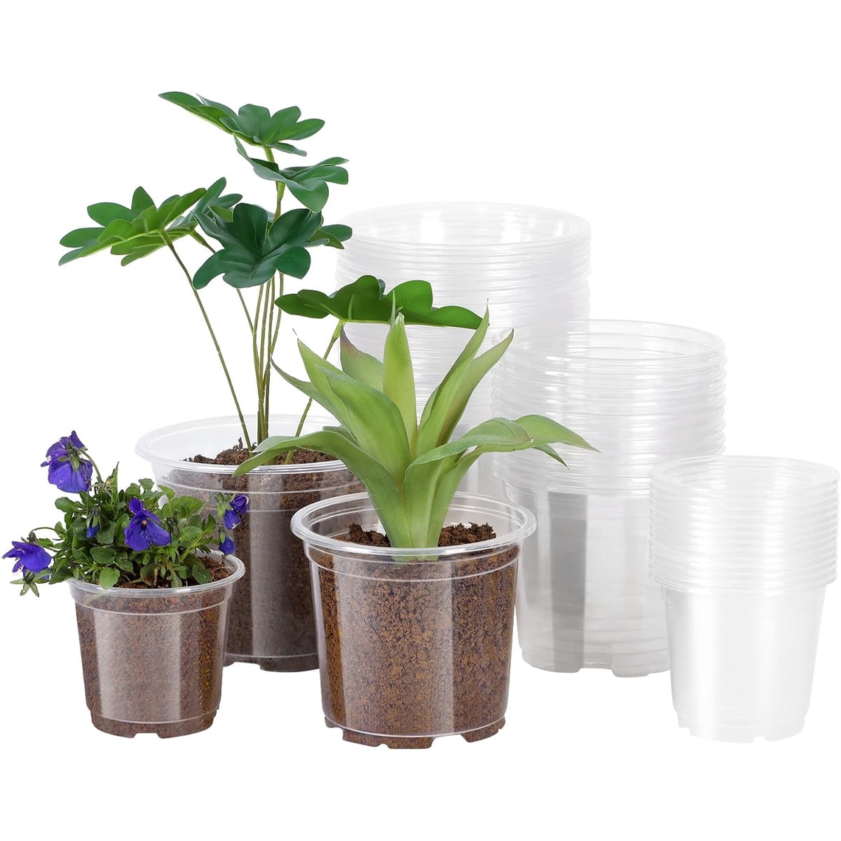 Plant Pots 15 Pack Clear Nursery Pots With Drainage Holes, 3 Nigeria ...