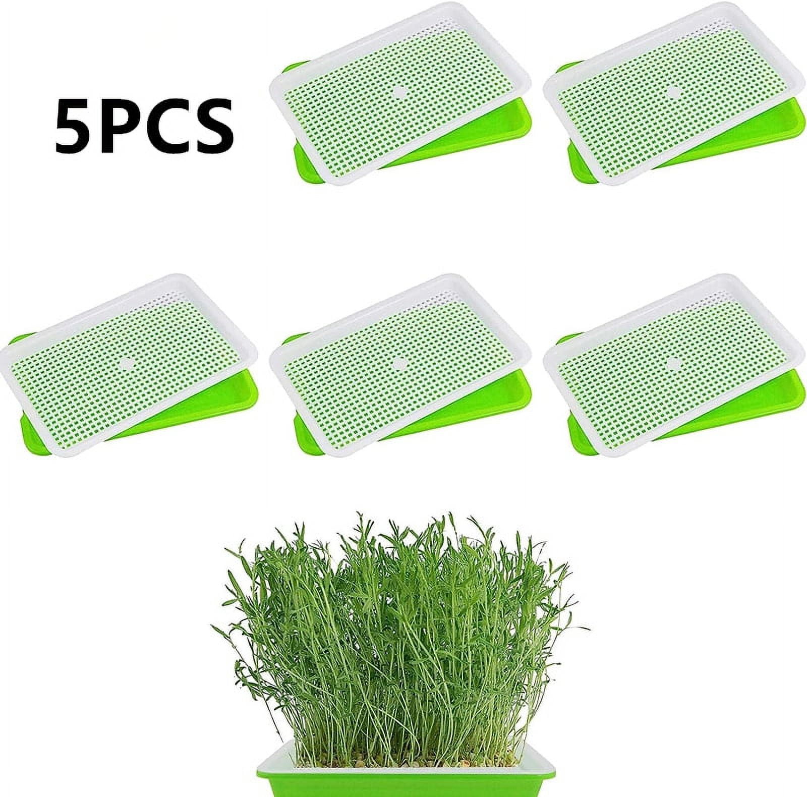 Tutuviw 5PCS Sprout Trays Strength Plastic Soil-Free Healthy Wheatgrass ...