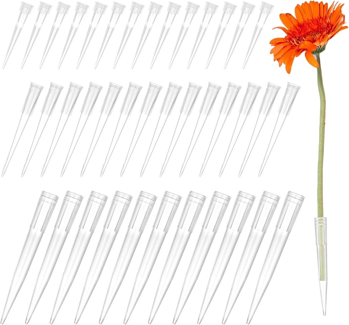 Tutuviw 60PCs Plastic Flower Stems Tube Holder,Clear Floral Tubes,Mini ...
