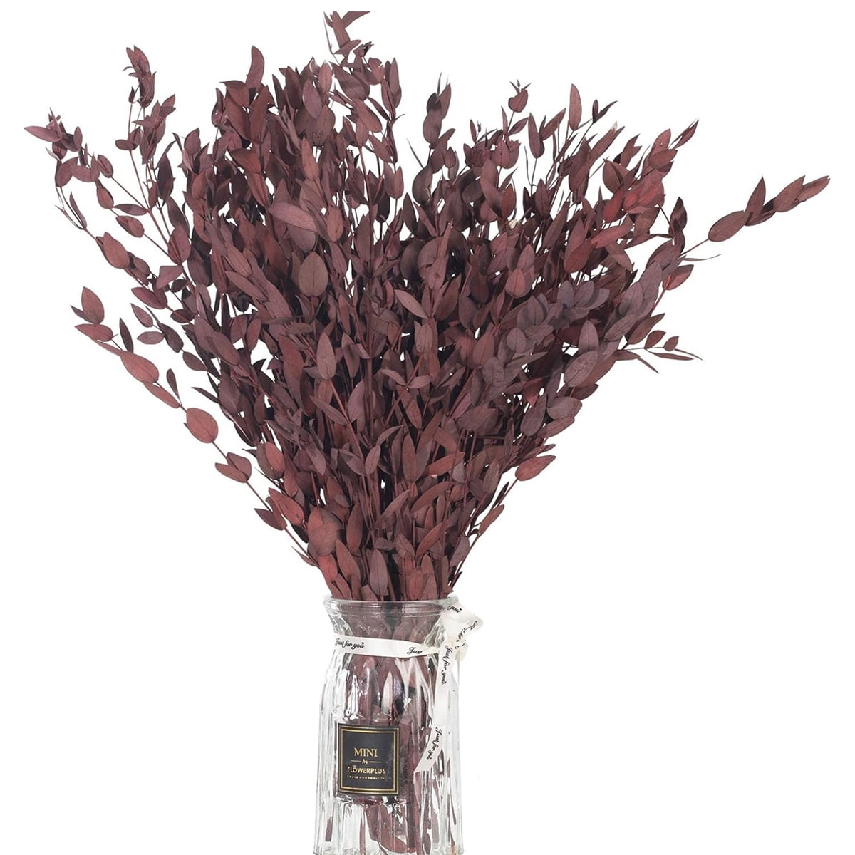 Tutuviw Real Red Eucalyptus Stems Decor 16" Dried Willow Eucalyptus ...