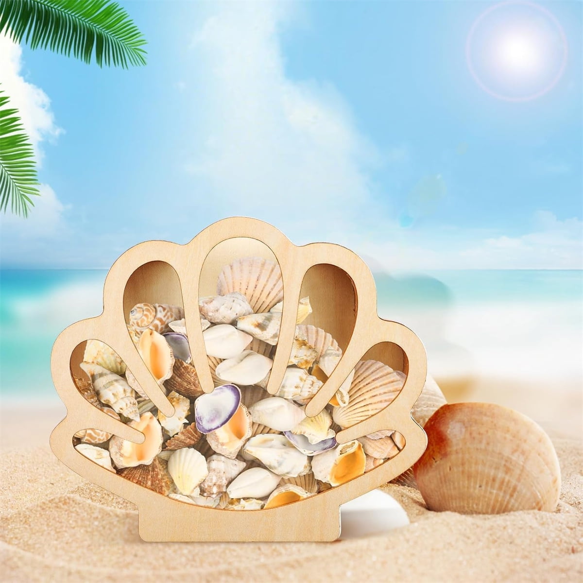 Tutuviw Wooden Seashell Display Case with Acrylic Window,Sea Shell ...