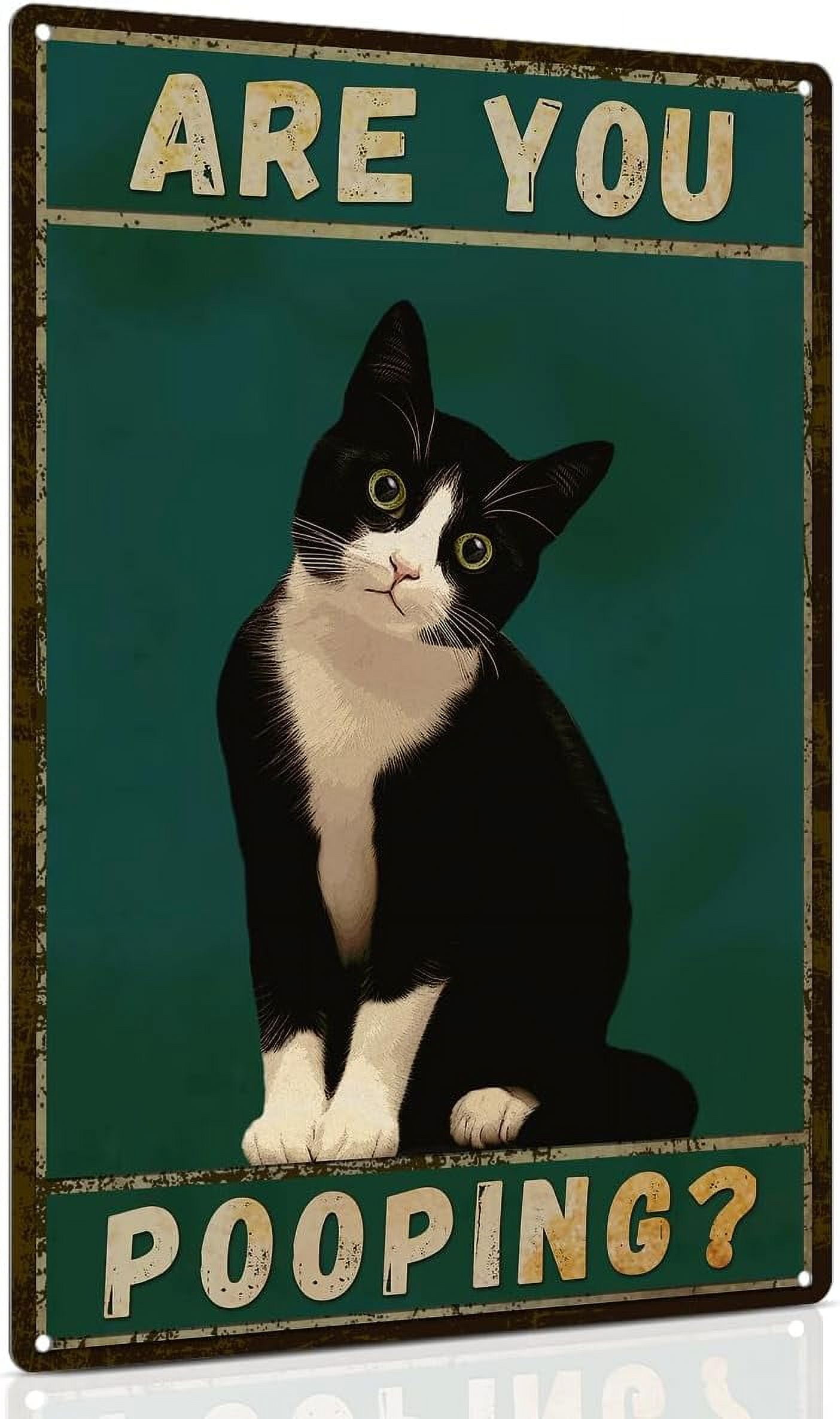 Tuxedo Cat Decor Are You Pooping Funny Metal Signs 8 x 12 Inch Black ...