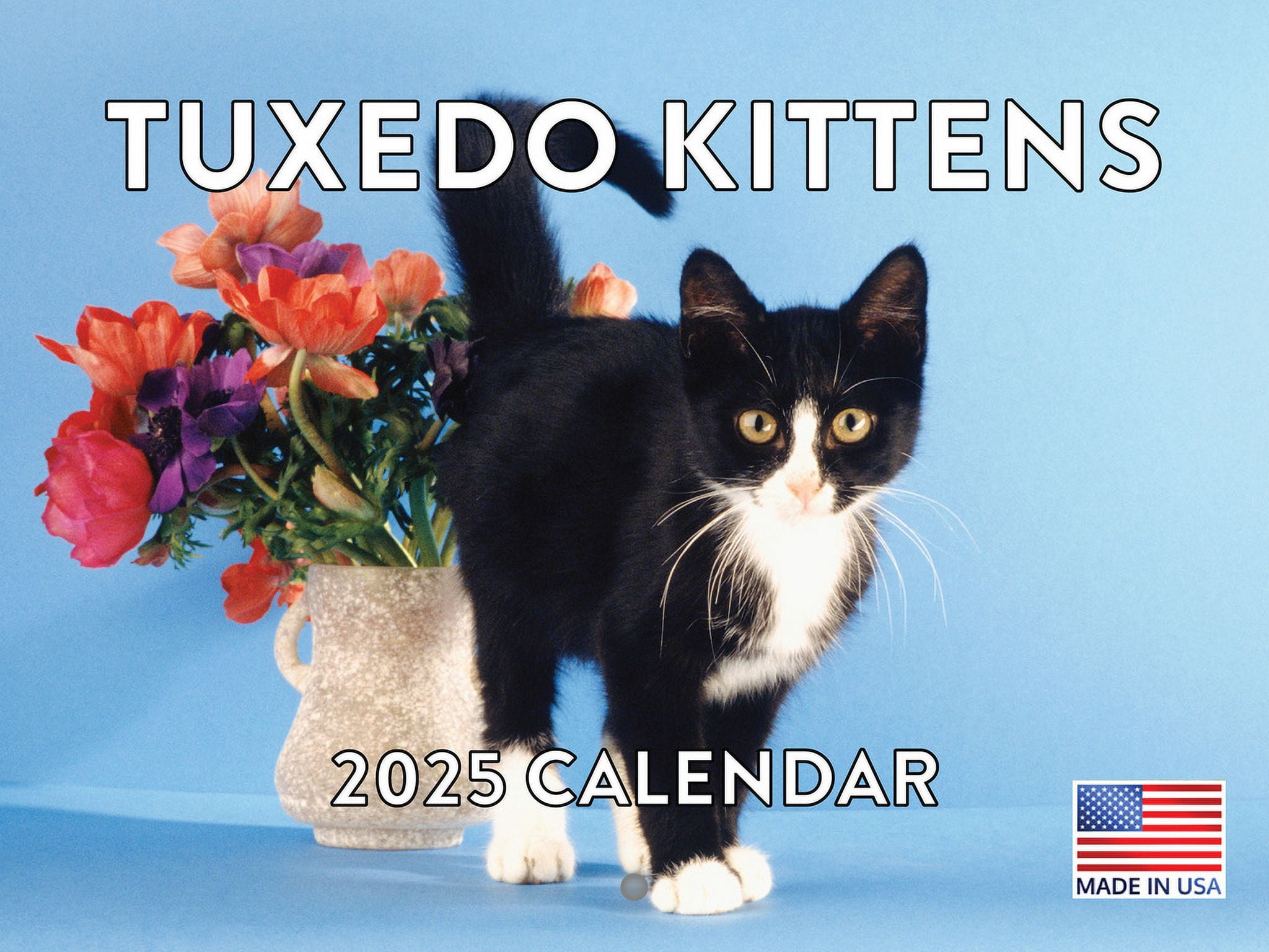 Tuxedo Cat Kitten Calendar 2025 Monthly Wall Calender 12 Month ...