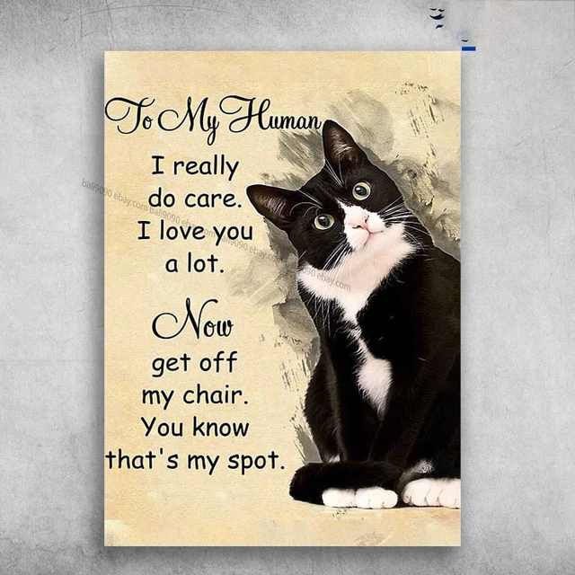 Tuxedo Cat Poster - To My Human, Is Really Do Care, I Love You A Lot ...