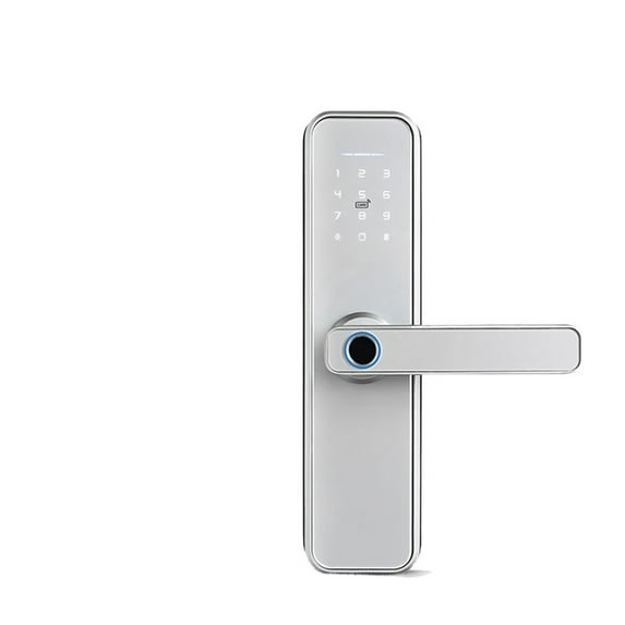 Tuya Biometric Fingerprint Smart Door Locker Hotel Keyless Entry Home ...