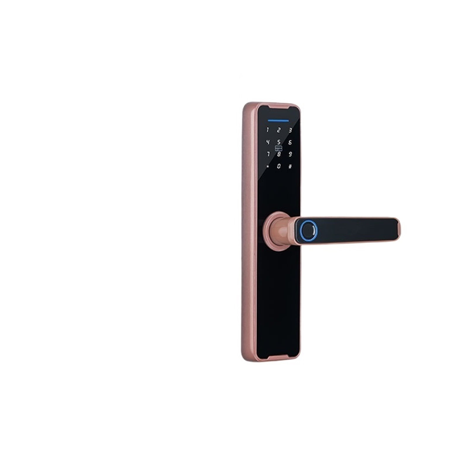 Tuya Bluethooth Biometric Fingerprint Electronic Lock RFID Card Remote ...