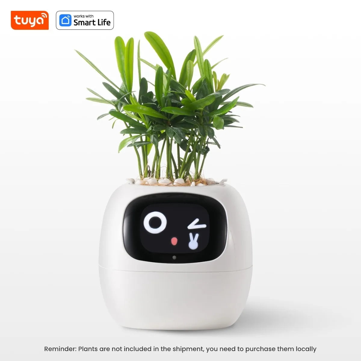 Tuya Ivy Smart Planter,Endless Fun over 49 Rich Expressions,7 Smart ...