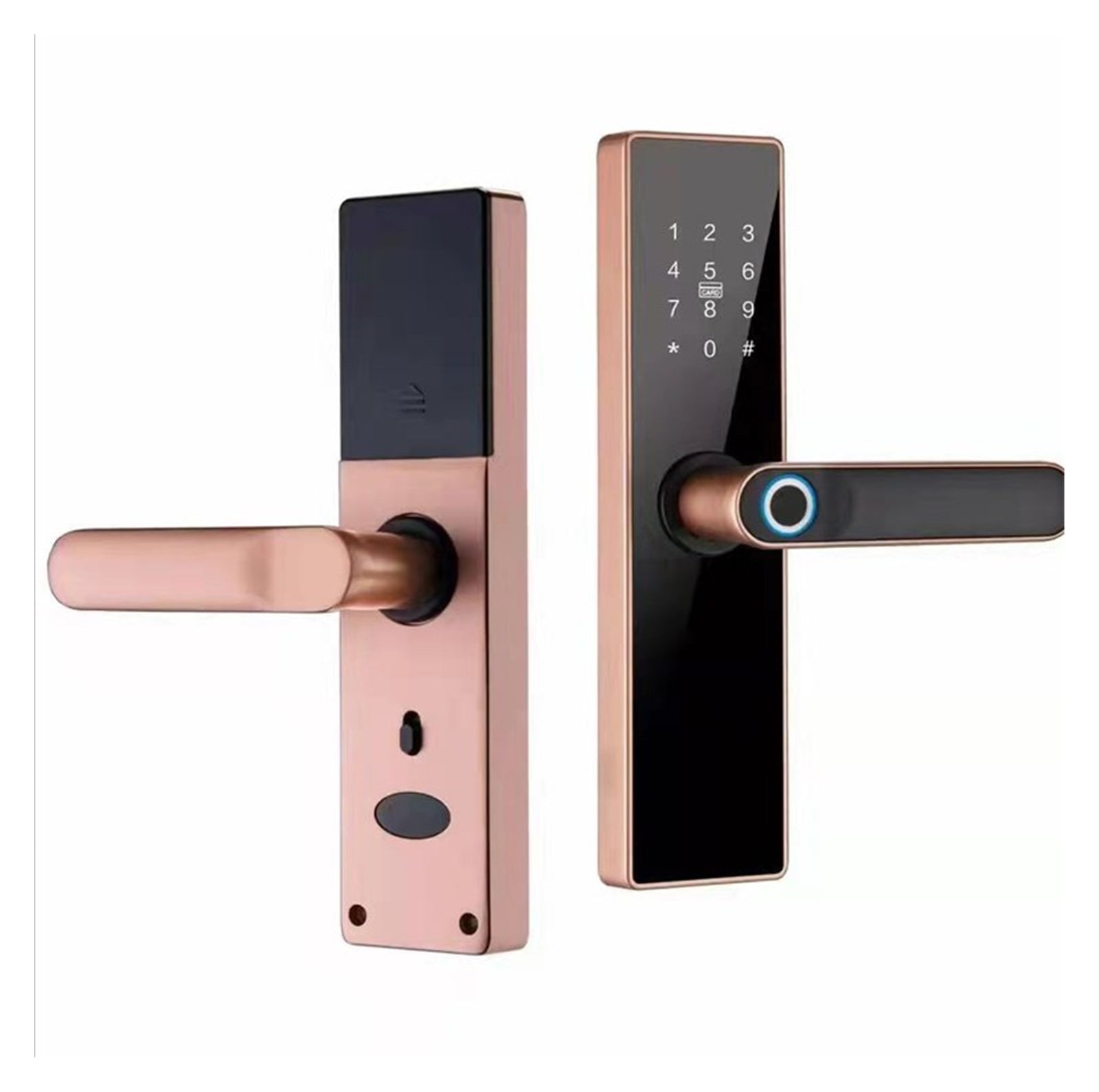 Tuya Smart Door Lock Fingerprint Password IC Card Keyless Remotely ...