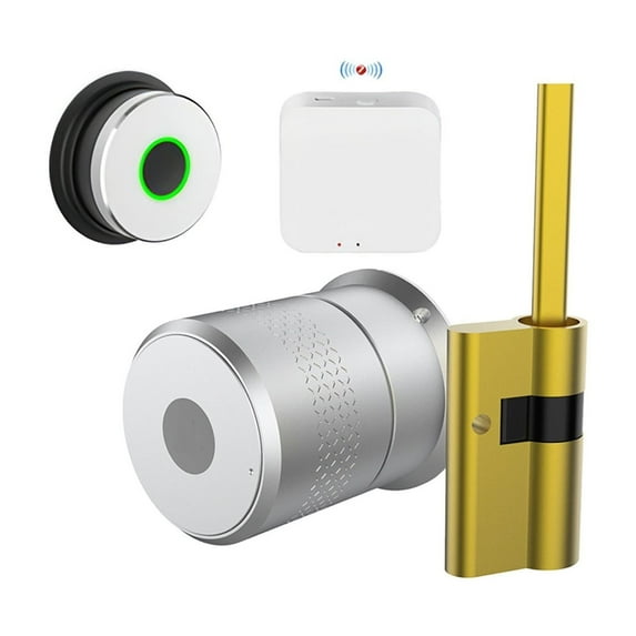 Tuya Smart Lock TTlock Fingerprint Cylinder For Door 50-100mm Thickess ...