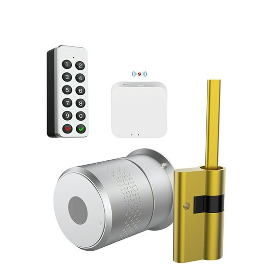 Tuya Smart Lock TTlock Fingerprint Cylinder For Door 50-100mm Thickess ...