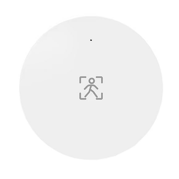 Smart Motion Sensors in Smart Detectors & Smart Sensors - Walmart.com