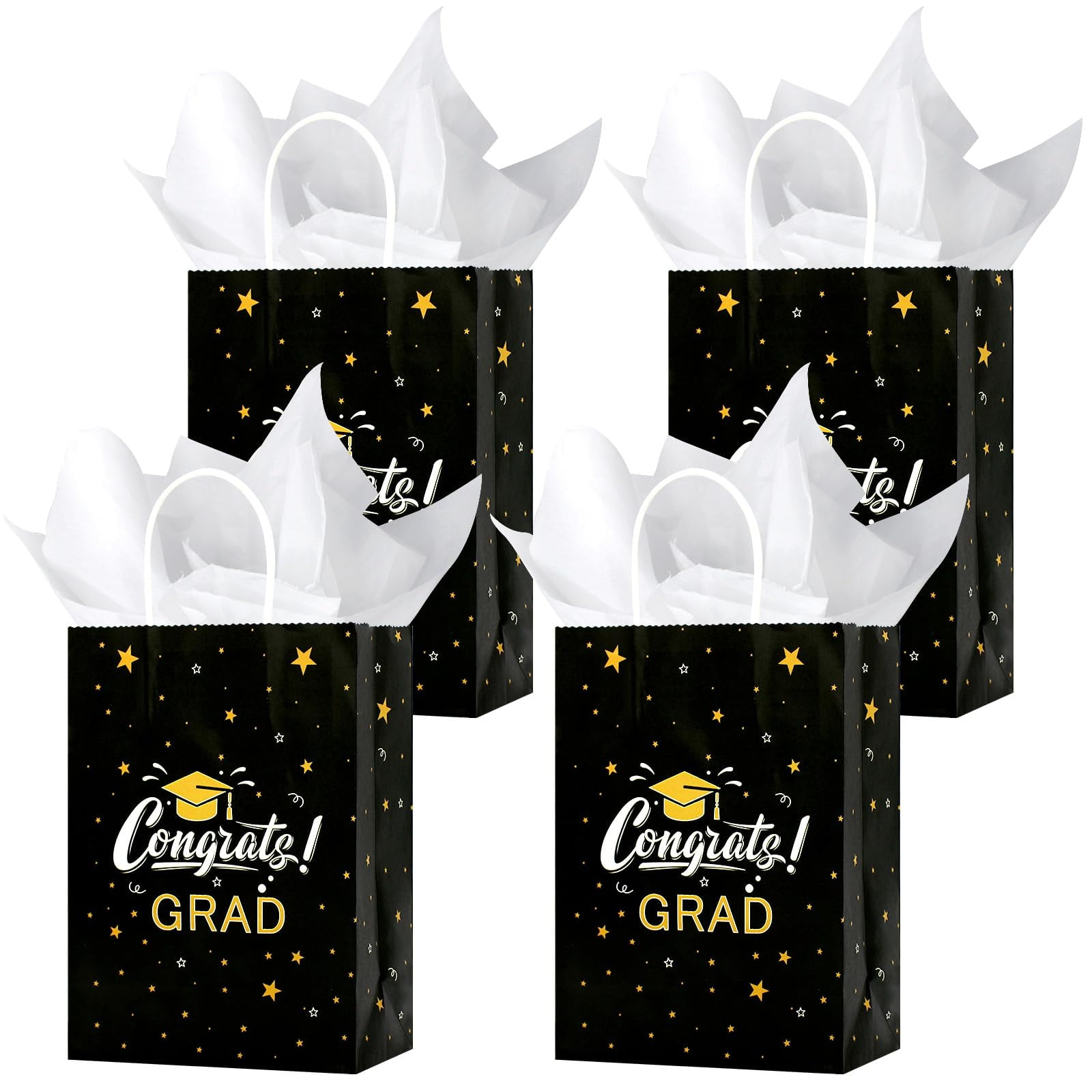 Tuzuaol 12 Pack Graduation Gift Bag AIS1 with Tissue Paper Bulk ...