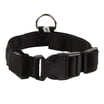 Nite Ize Spotlit XL LED Collar Light, Carabiner Clip Dog Light, USB ...