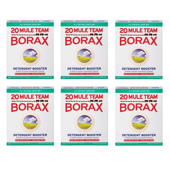 Borax Mule Team