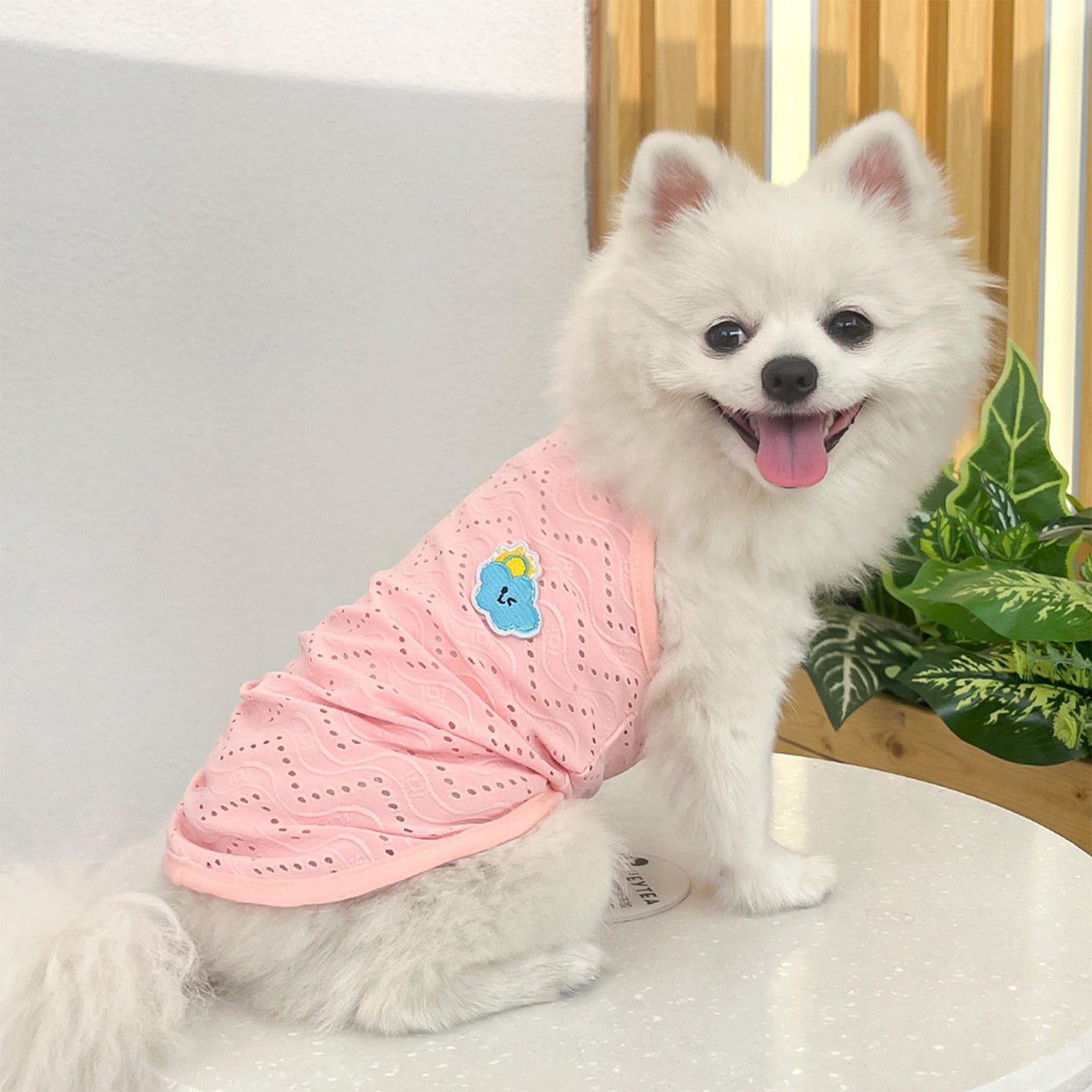 Twfbrm Dog Clothes for Small Medium Dogs Girl Cat Tee Shirt Spring ...