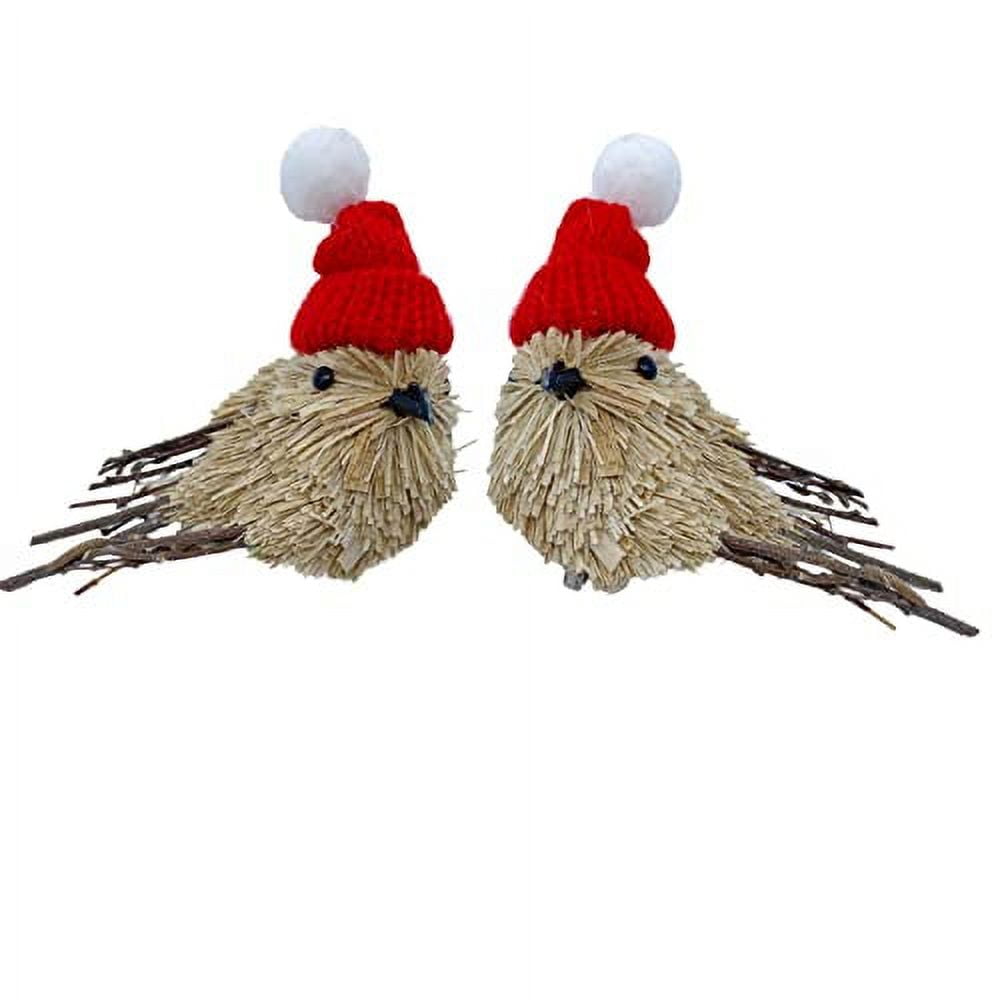 Twig Sisal Birds with Red Hats Ornament Clips - Set of 2 - Walmart.com