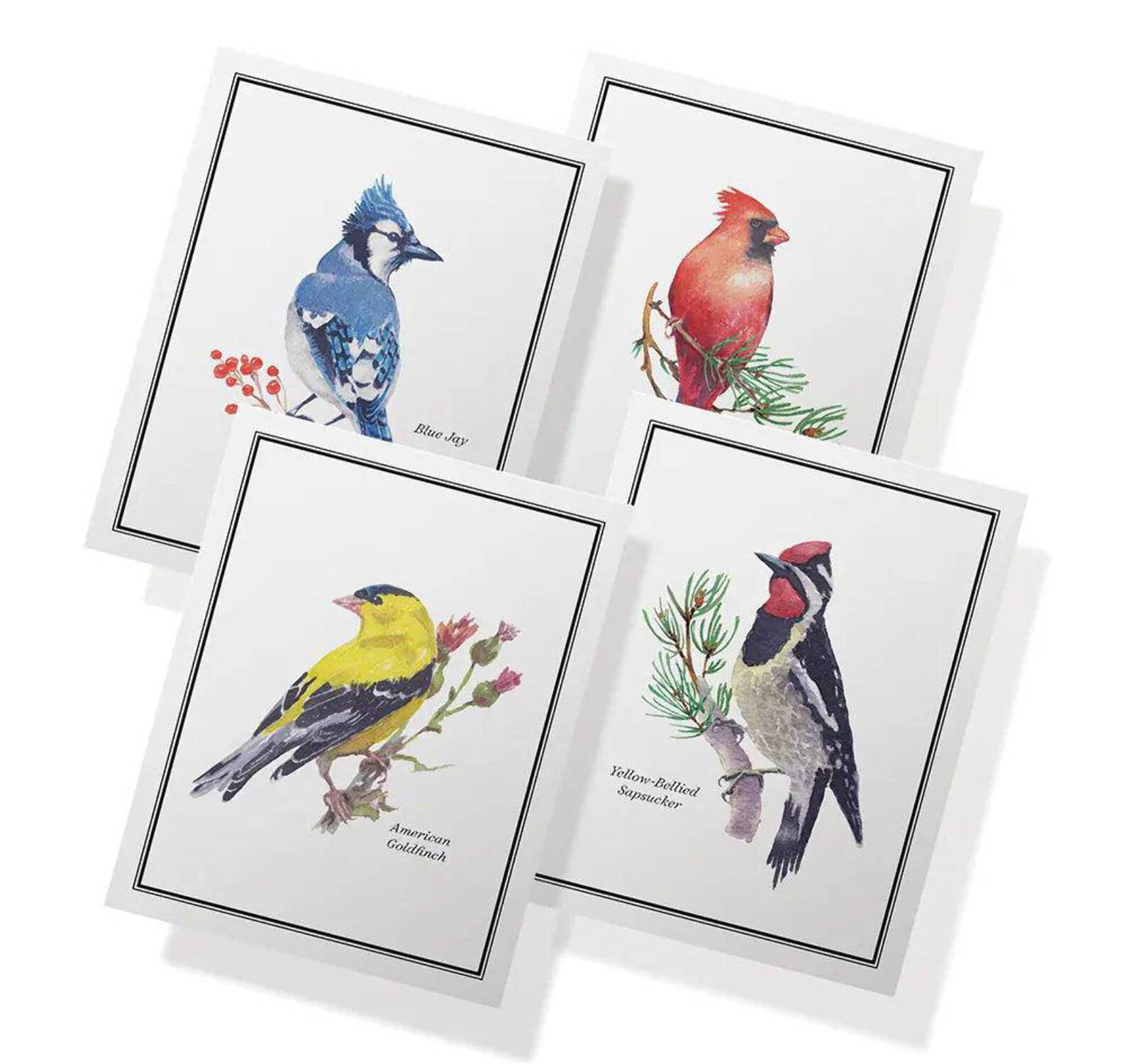 Twigs Paper - American Birds Note Cards - Set of 12 Blank Assorted ...