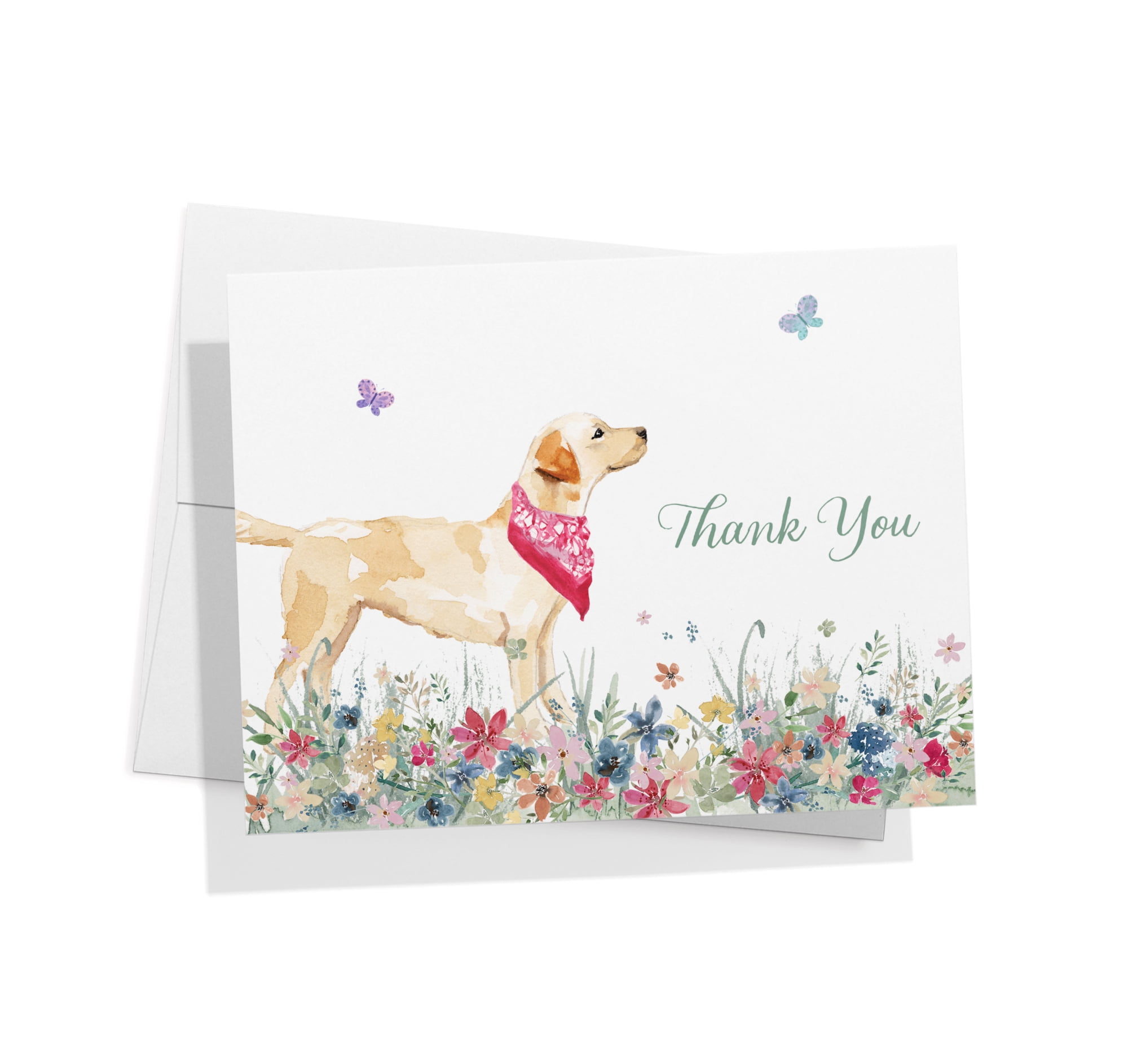 Twigs Paper - Labrador Retriever Dog Thank You Cards - Set of 12 Blank ...