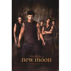 Twilight Posters