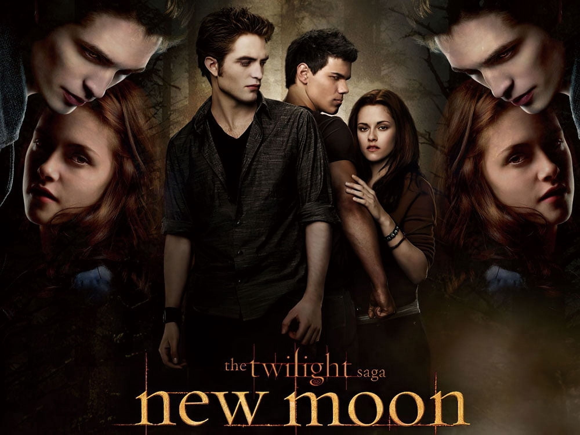 Twilight Backdrop Banner Party Supplies Poster Movie Theme Background ...