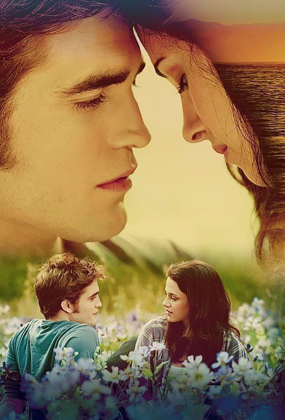 Twilight Diamond Painting Kits for Adult Beginners, 5D Cartoon Diamond Art Kits, DIY Full Drill ...