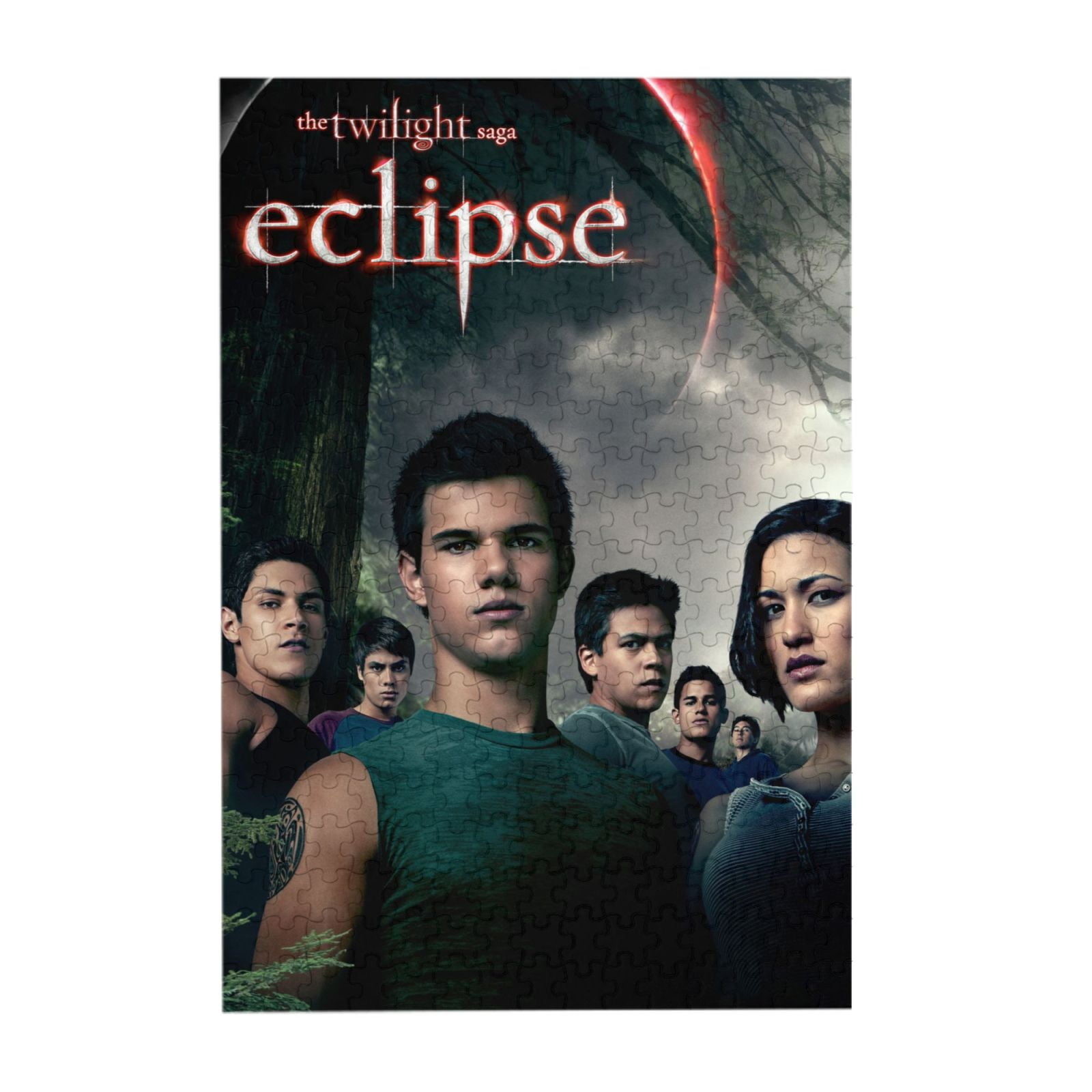 Twilight Puzzle For Adults & Kids - 300 Piece Jigsaw Puzzle - Walmart.com