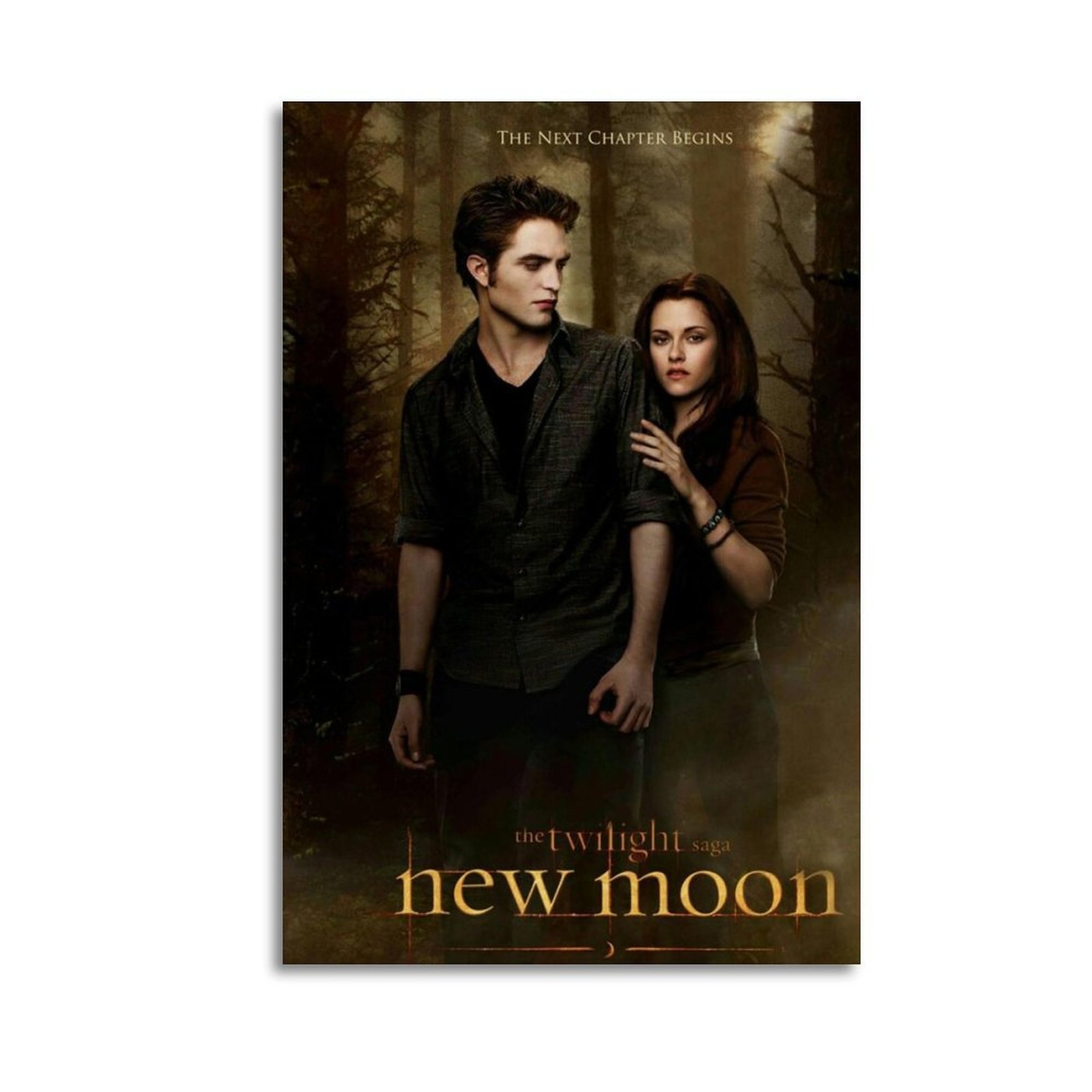 The Twilight Saga New Moon Poster Decoration Vibrant High-end Wall ...