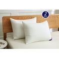 Twin Pack Nano Feather Pillow with Soft Knit Removable Cover - Walmart.com