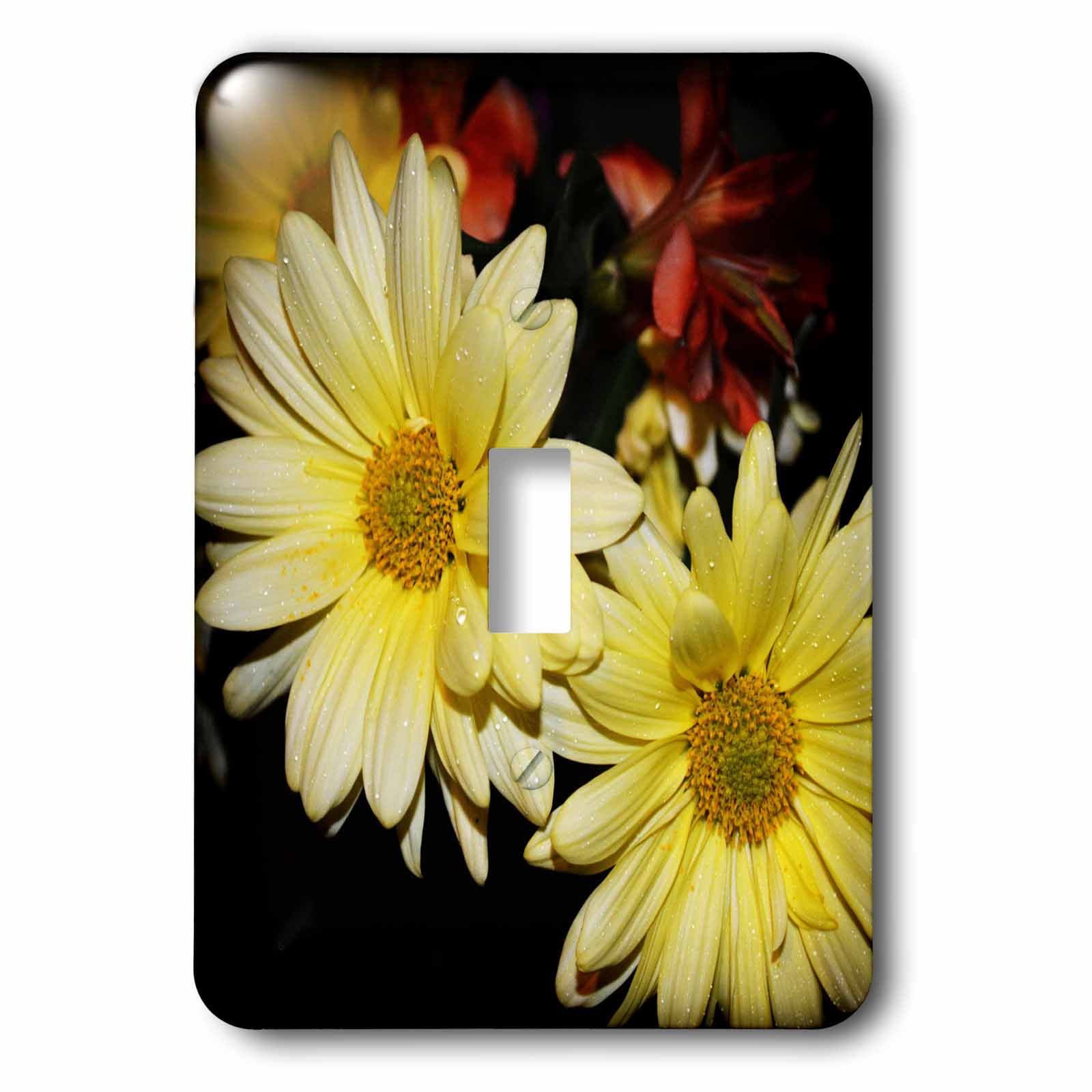 Twin Yellow Daisies is a photo of two yellow daisies single toggle ...