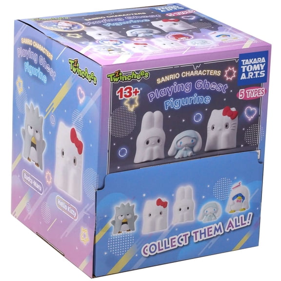 Sanrio Mystery Box
