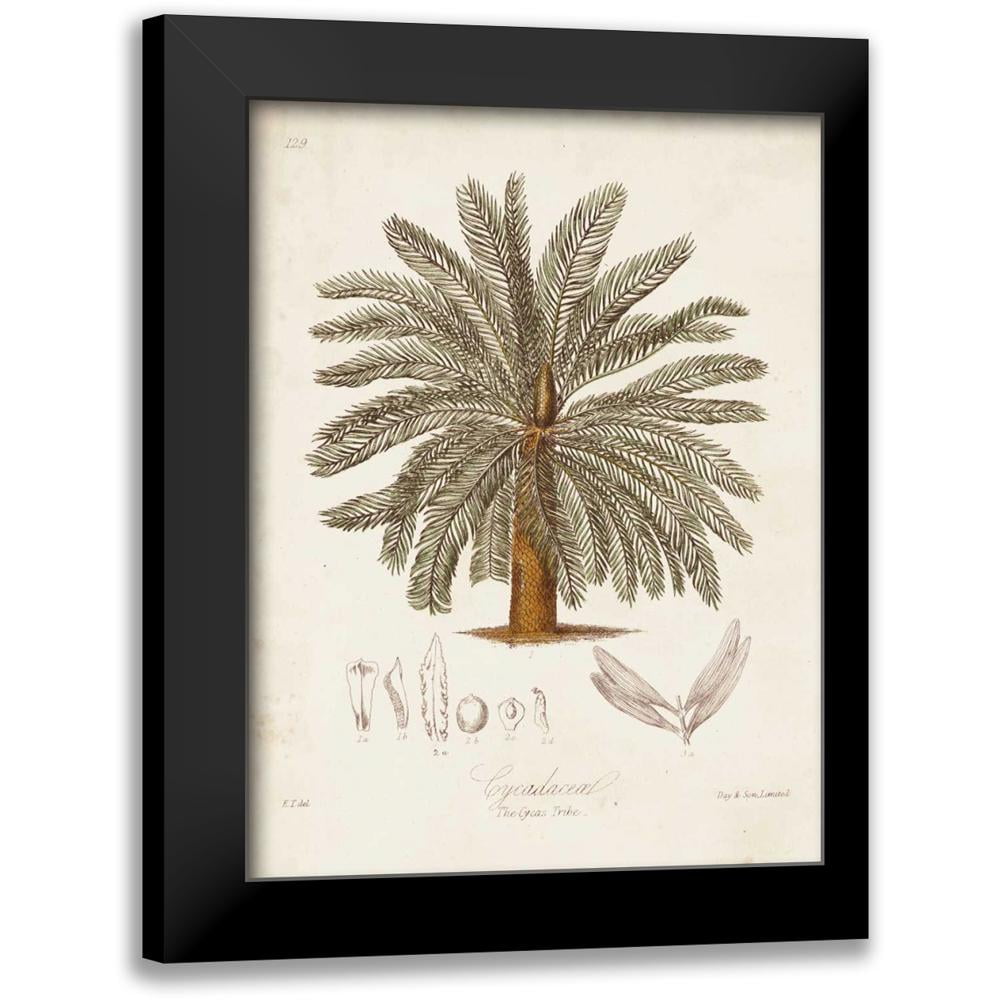 Twining, Elizabeth 15x18 Black Modern Framed Museum Art Print Titled ...