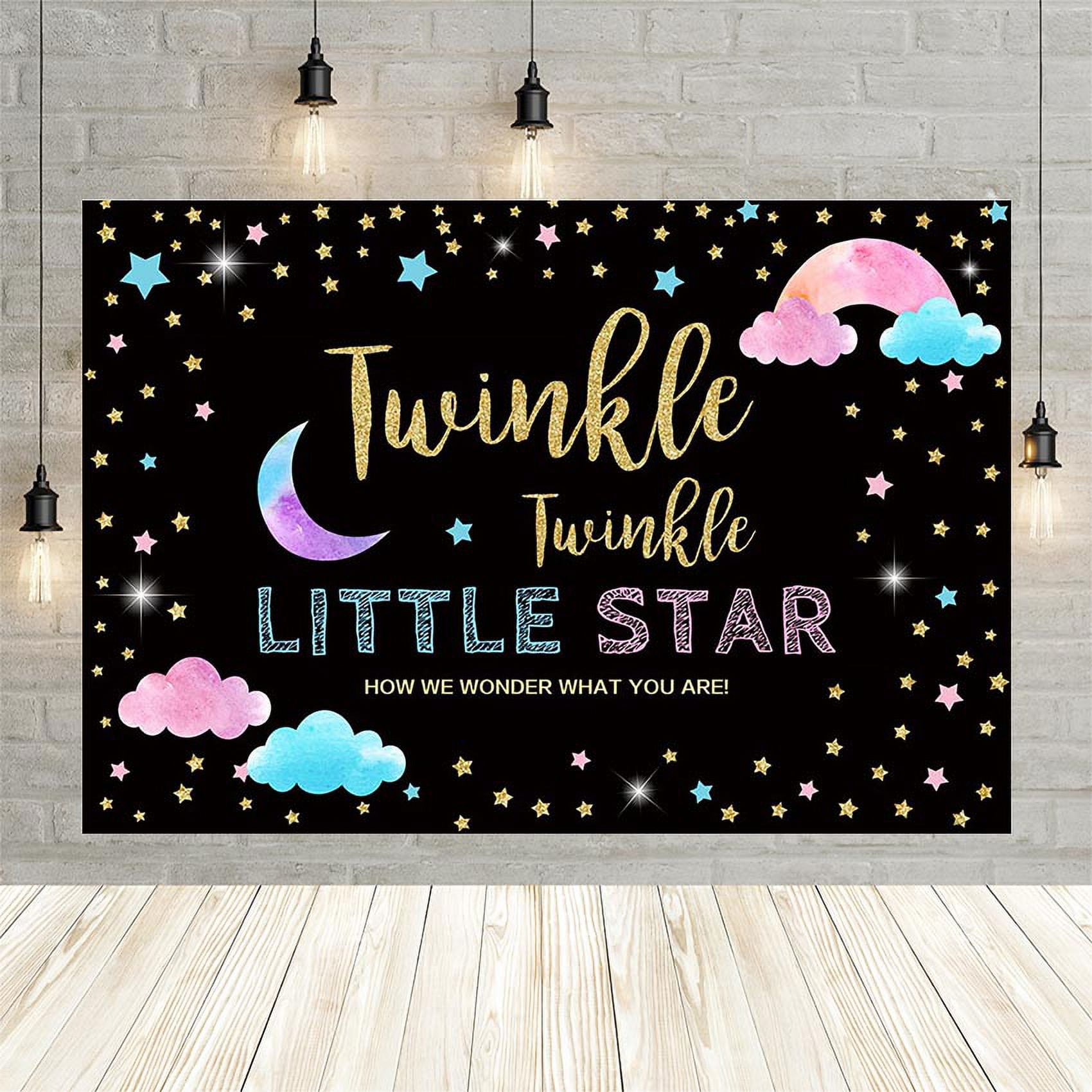 Twinkle Gender Reveal Party Photography Background Pink Blue Starry Sky ...