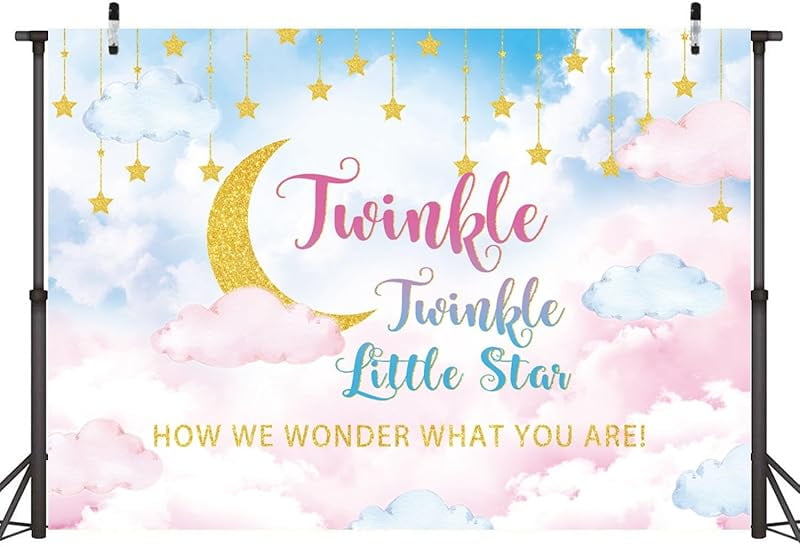 Twinkle Twinkle Little Star Backdrop Gender Reveal Boy or Girl ...