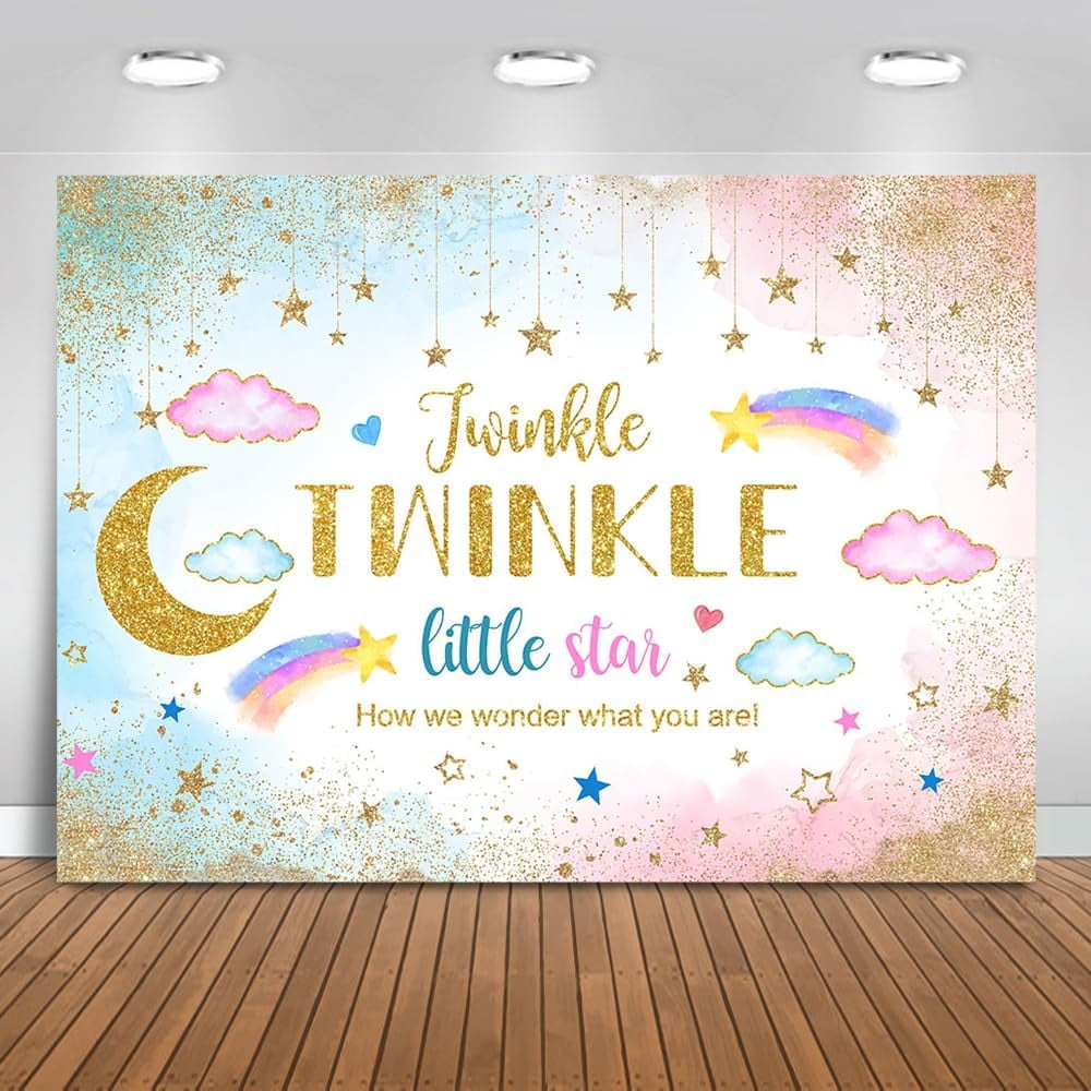 Twinkle Twinkle Little Star Gender Reveal Backdrop Boy or Girl How We Wonder What You are Party ...