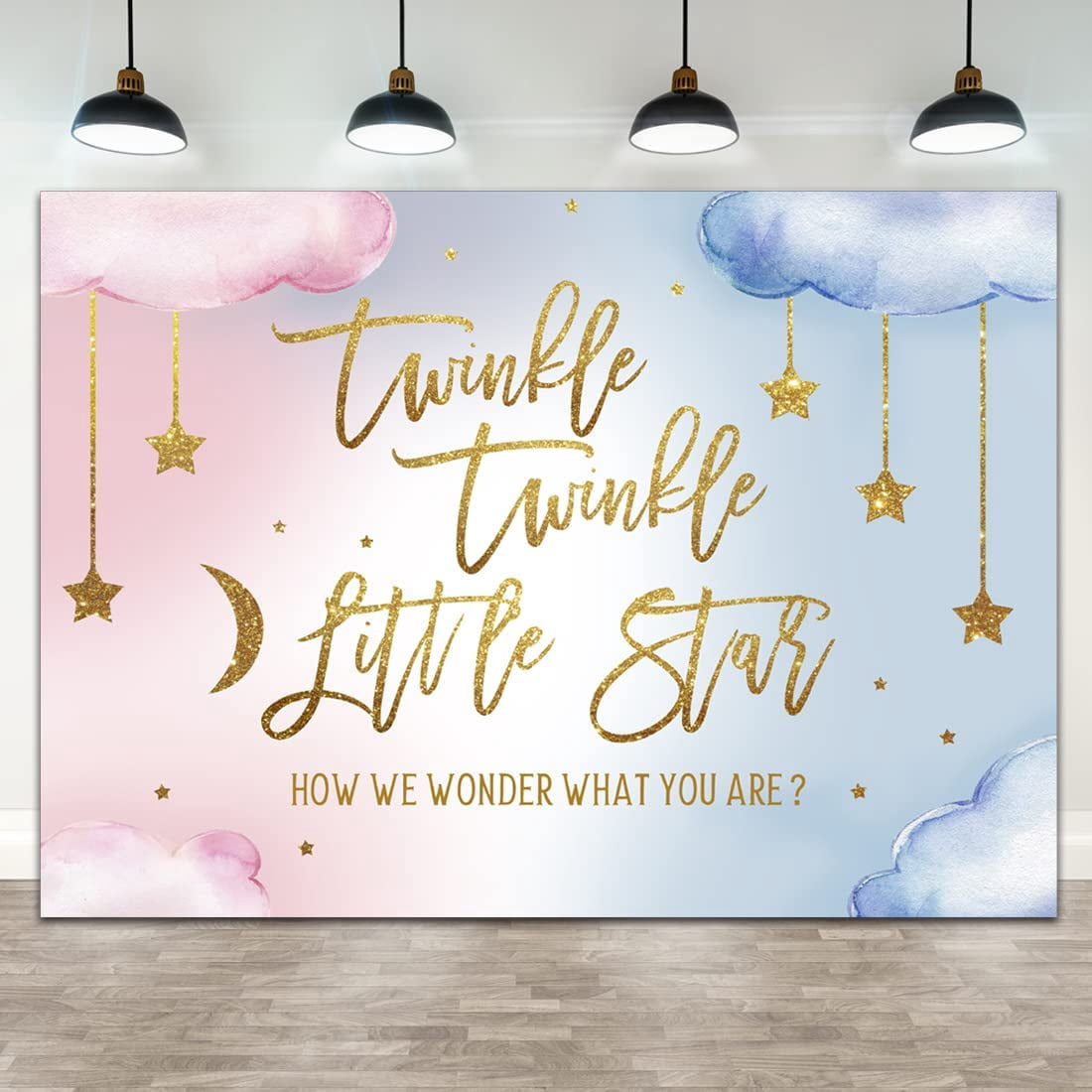 Twinkle Twinkle Little Star Gender Reveal Backdrop Boy or Girl Pink or ...