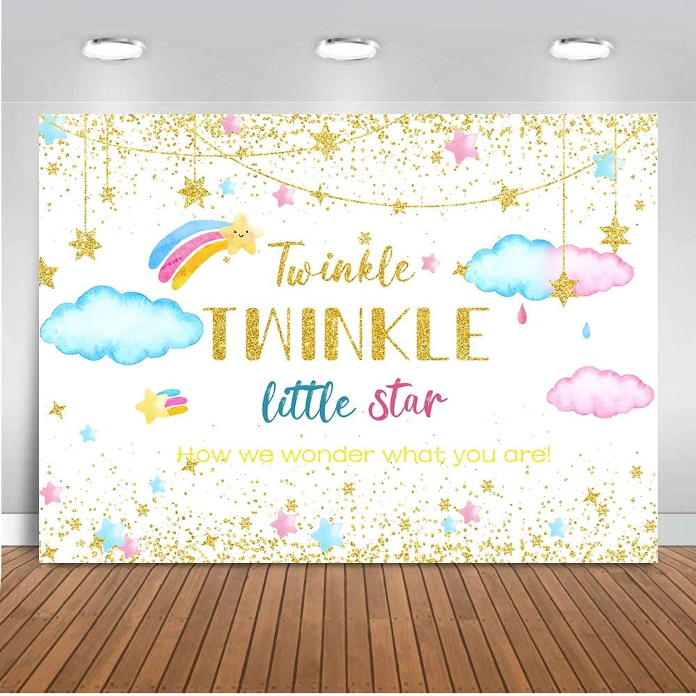 Twinkle Twinkle Little Star Gender Reveal Backdrop Pink and Blue Clouds ...