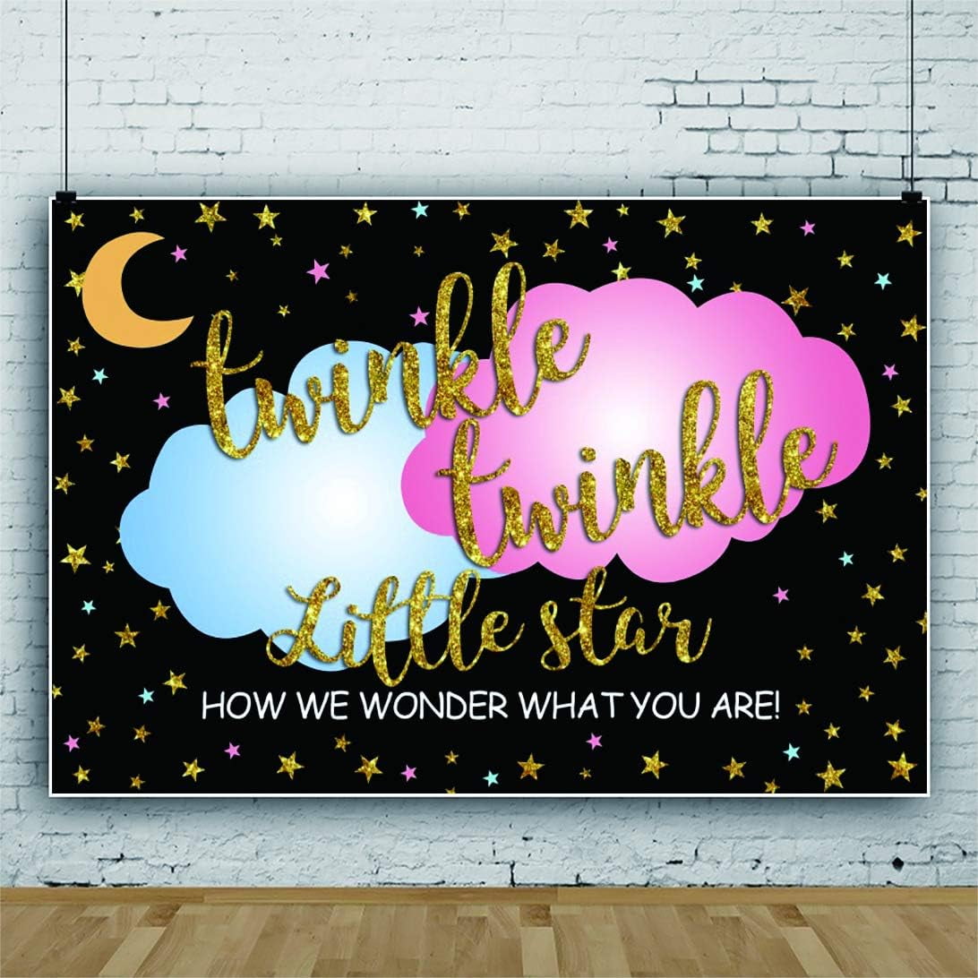 Twinkle Twinkle Little Star How We Wonder What You are Baby Shower ...