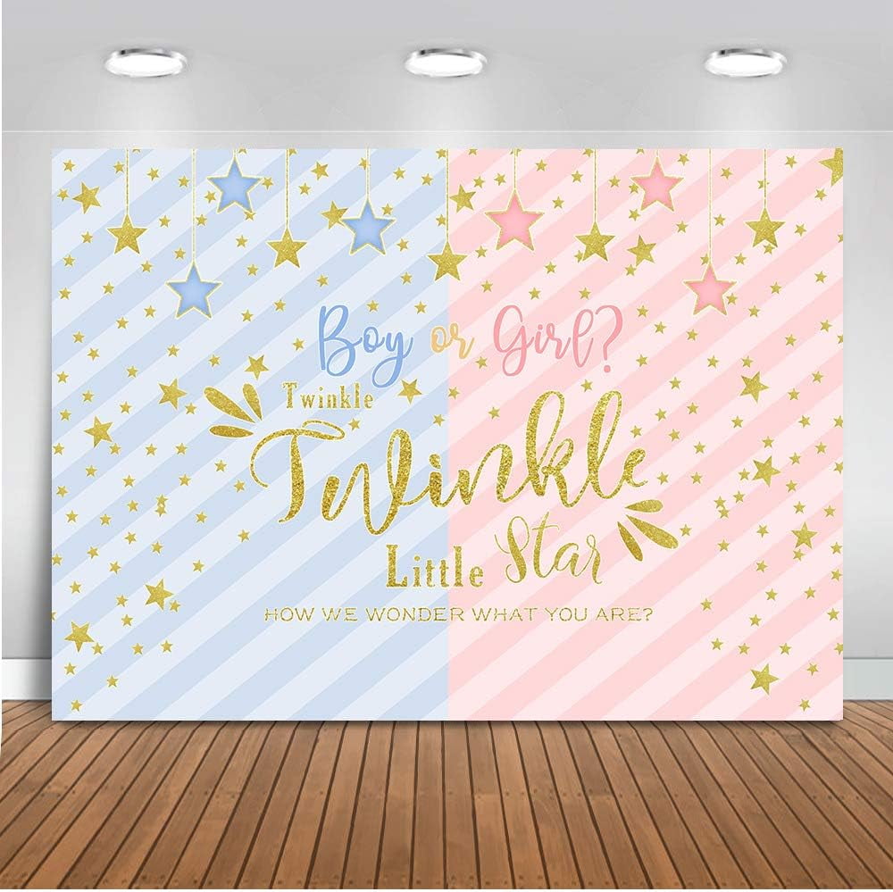 Twinkle Star Backdrop 7x5Ft Gender Reveal Party Boy or Girl Photography ...