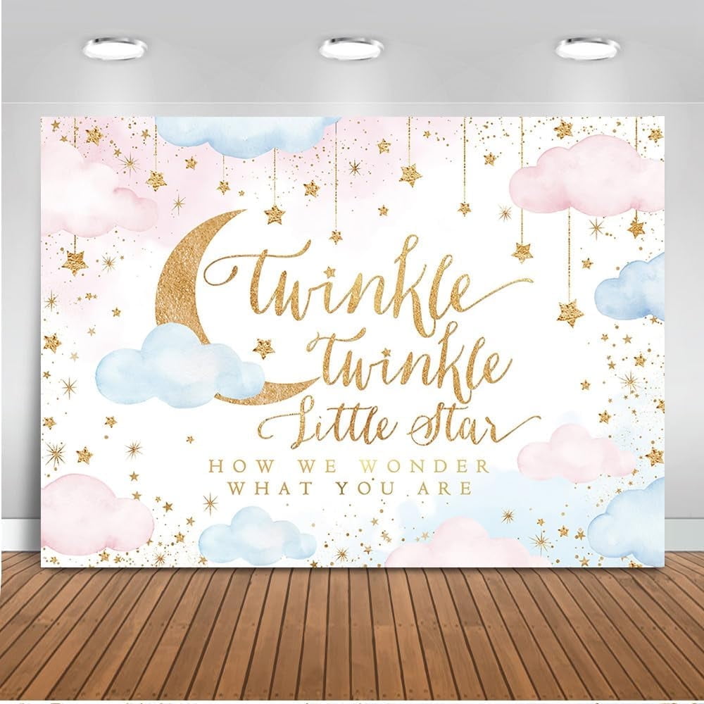 Twinkle Twinkle Little Star Backdrop Gender Reveal Boy or Girl Party ...