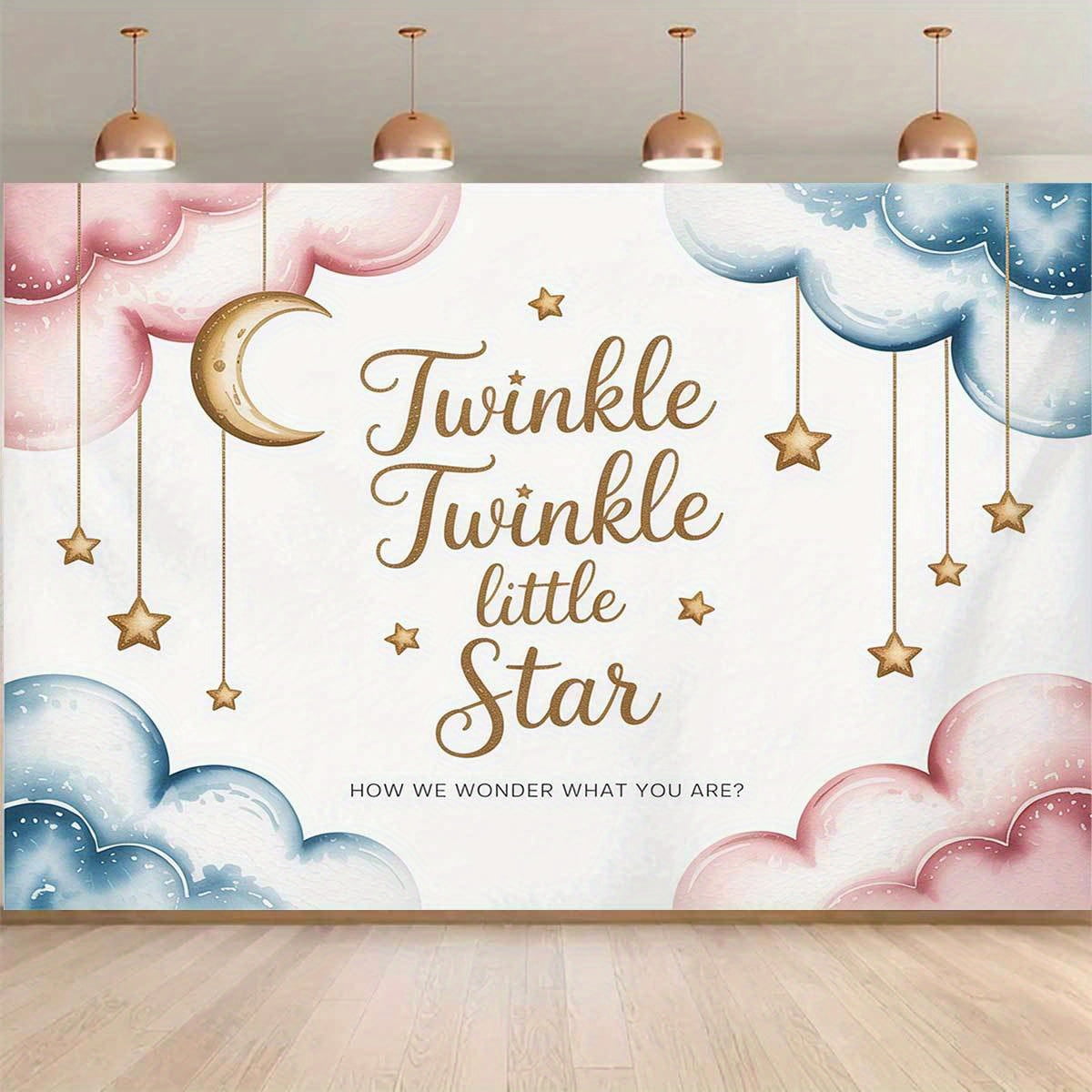 Twinkle Twinkle Little Star Backdrop Pink Blue Boy or Girl Baby Shower ...