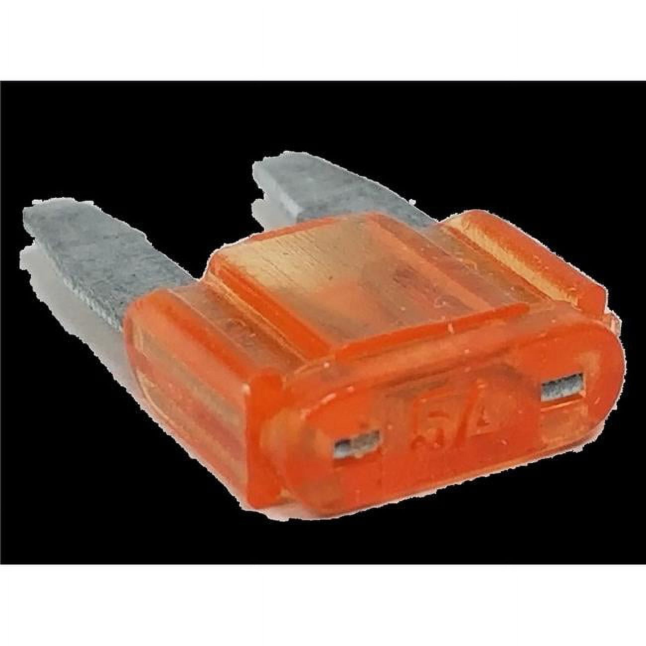 Twinpoint AST5 10 Piece 5 amp Mini Fuse - Walmart.com