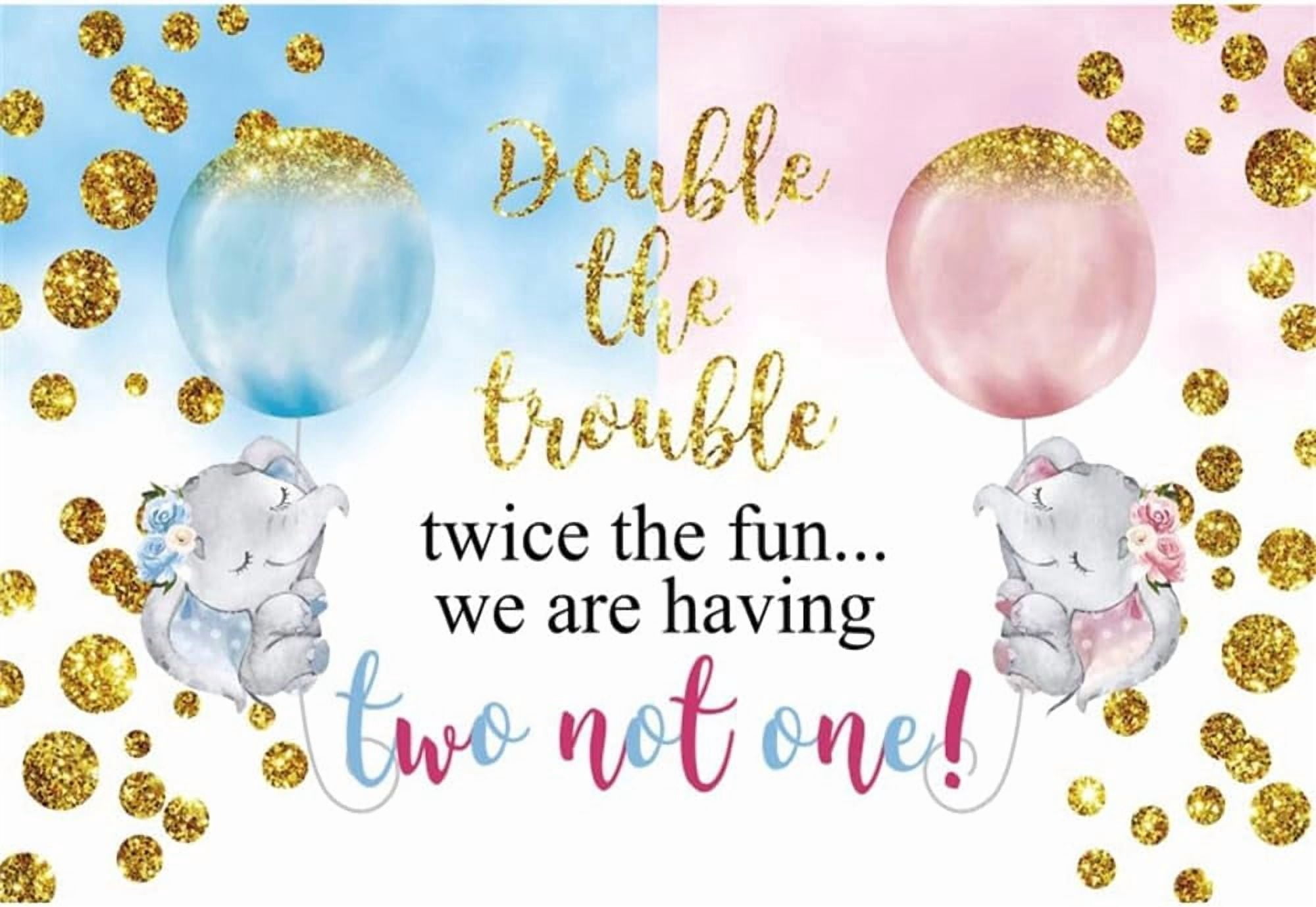 Twins Baby Shower Backdrop Double The Trouble Twice The Fun We are ...