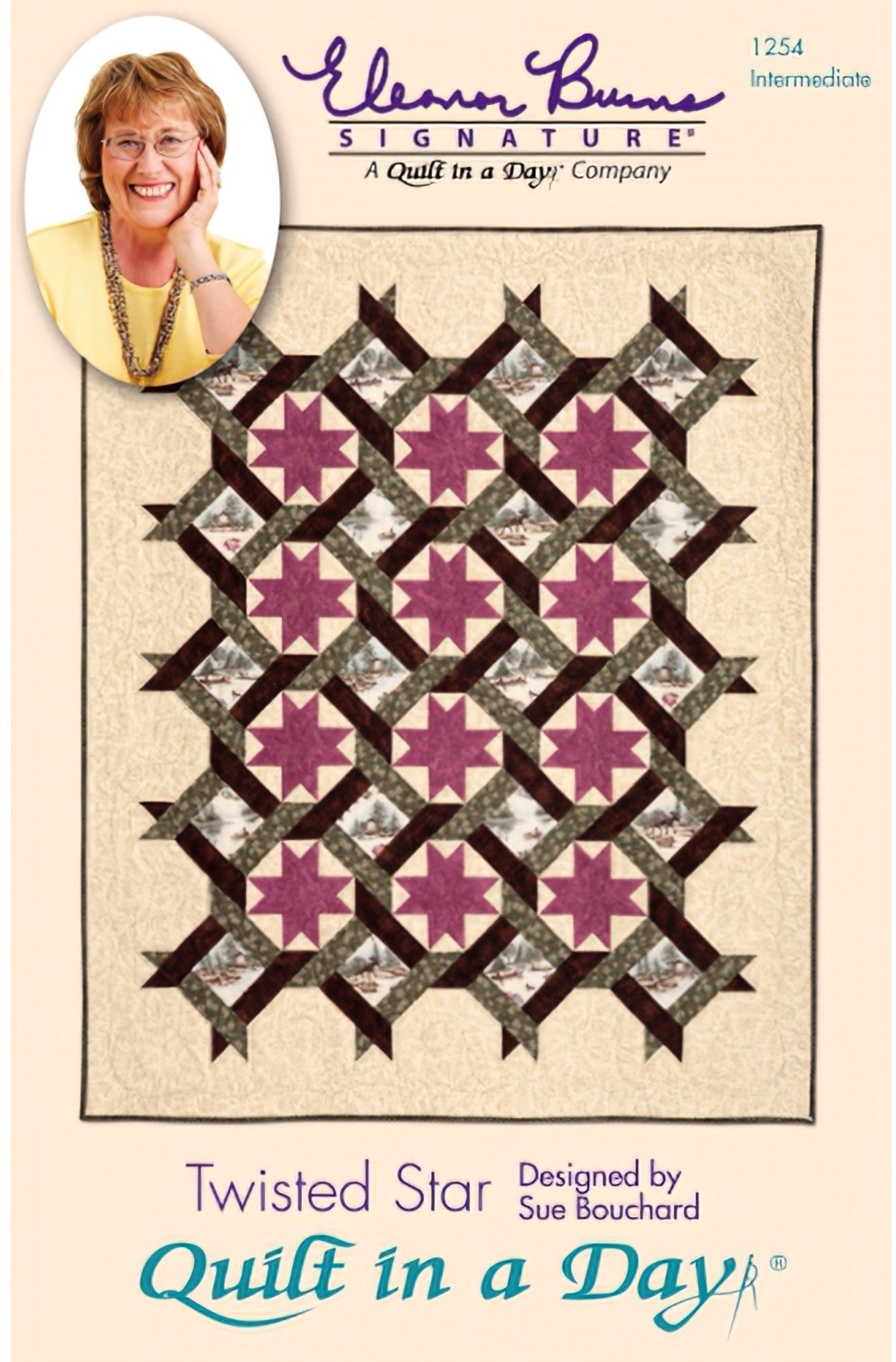 Twisted Star: Eleanor Burns Signature Quilt Pattern 735272012542 ...