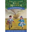 Magic Tree House Viking Ships at Sunrise, Book 15, (Paperback ...