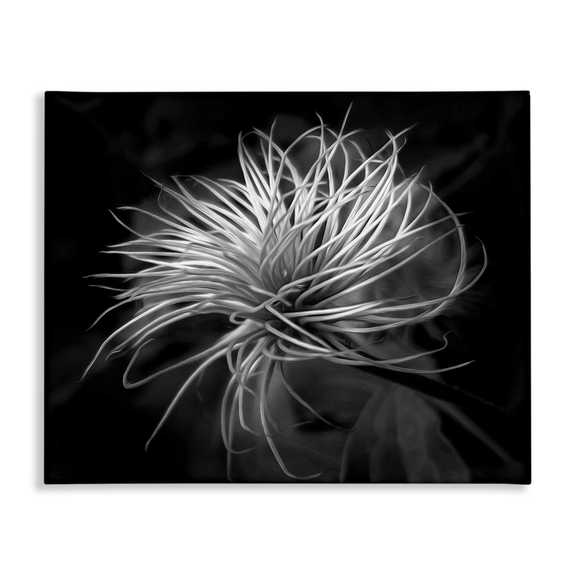 Twisting Botanical Leaves Contrast Canvas Wall Art, design by Phillip ...