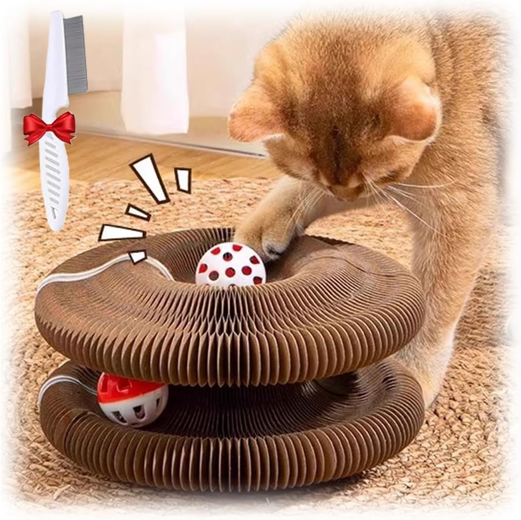 Twisty Paws Cat Toy, 1/2/3Pcs Interactive Mental Physical Exercise ...